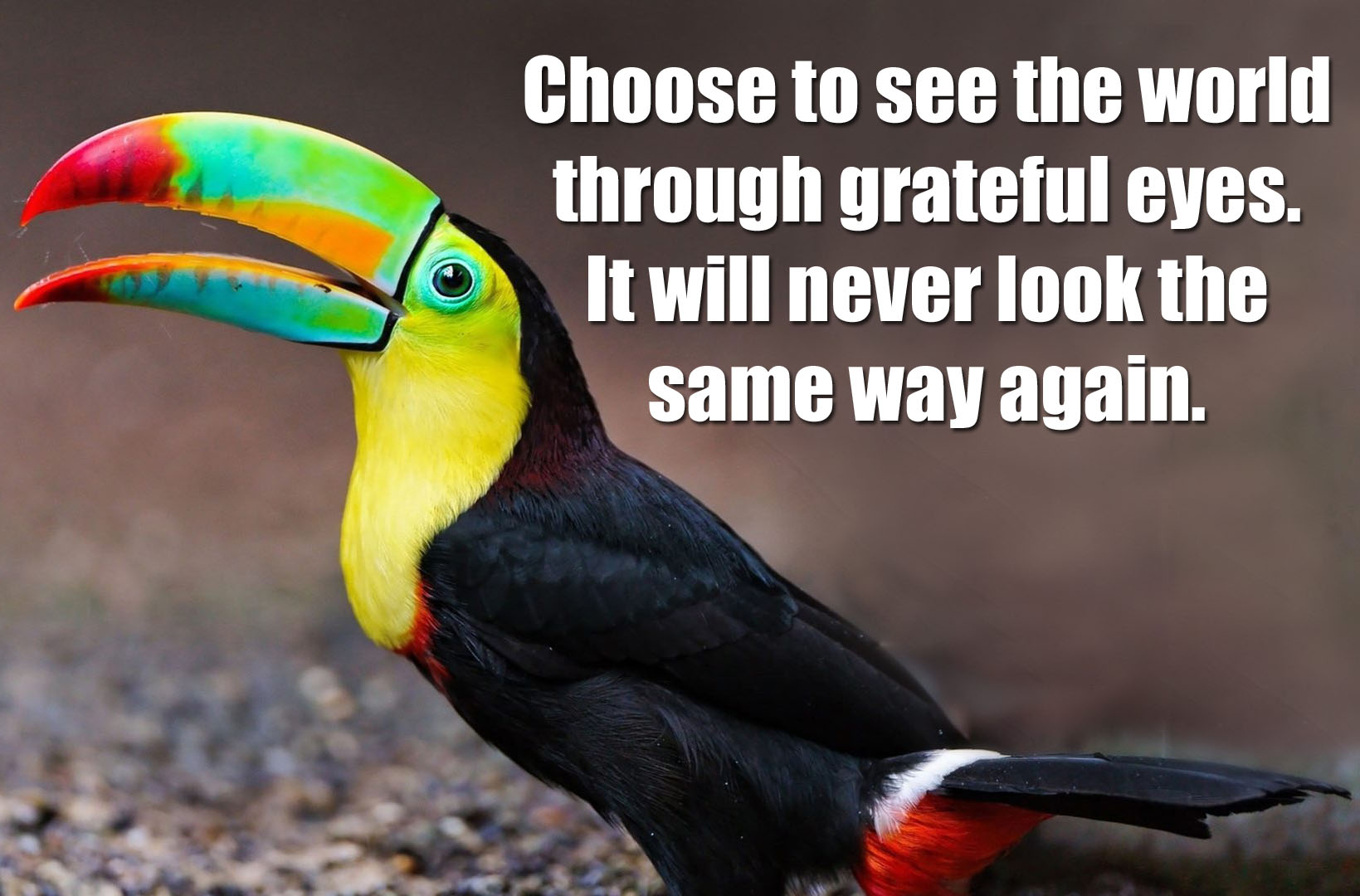 In Living Color! | Words To Ponder by J.R.